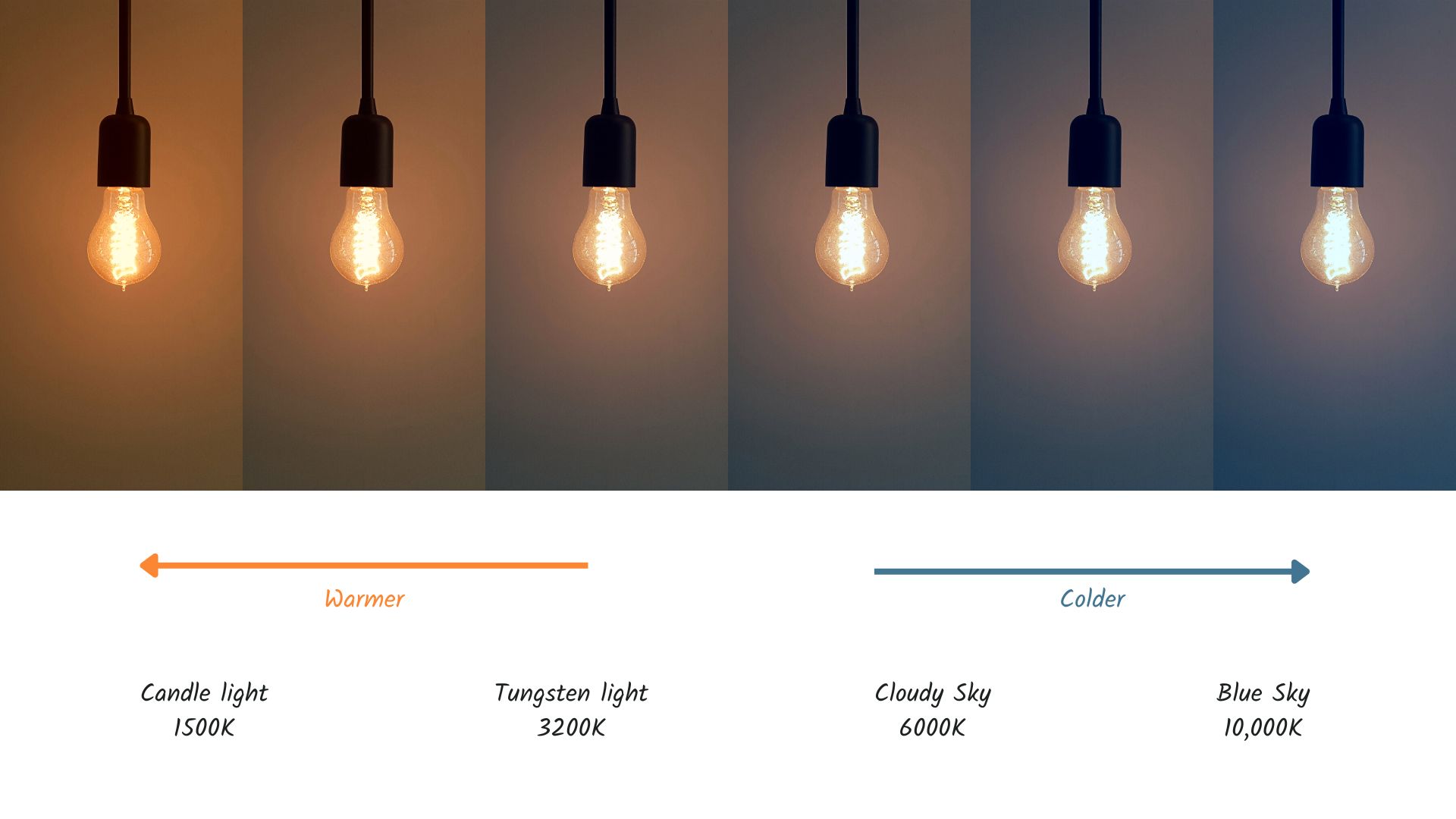 A Beginner's Guide to Choosing the Right Continuous Light: Key ...